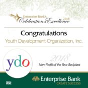 YDO Approach – Youth Development Organization